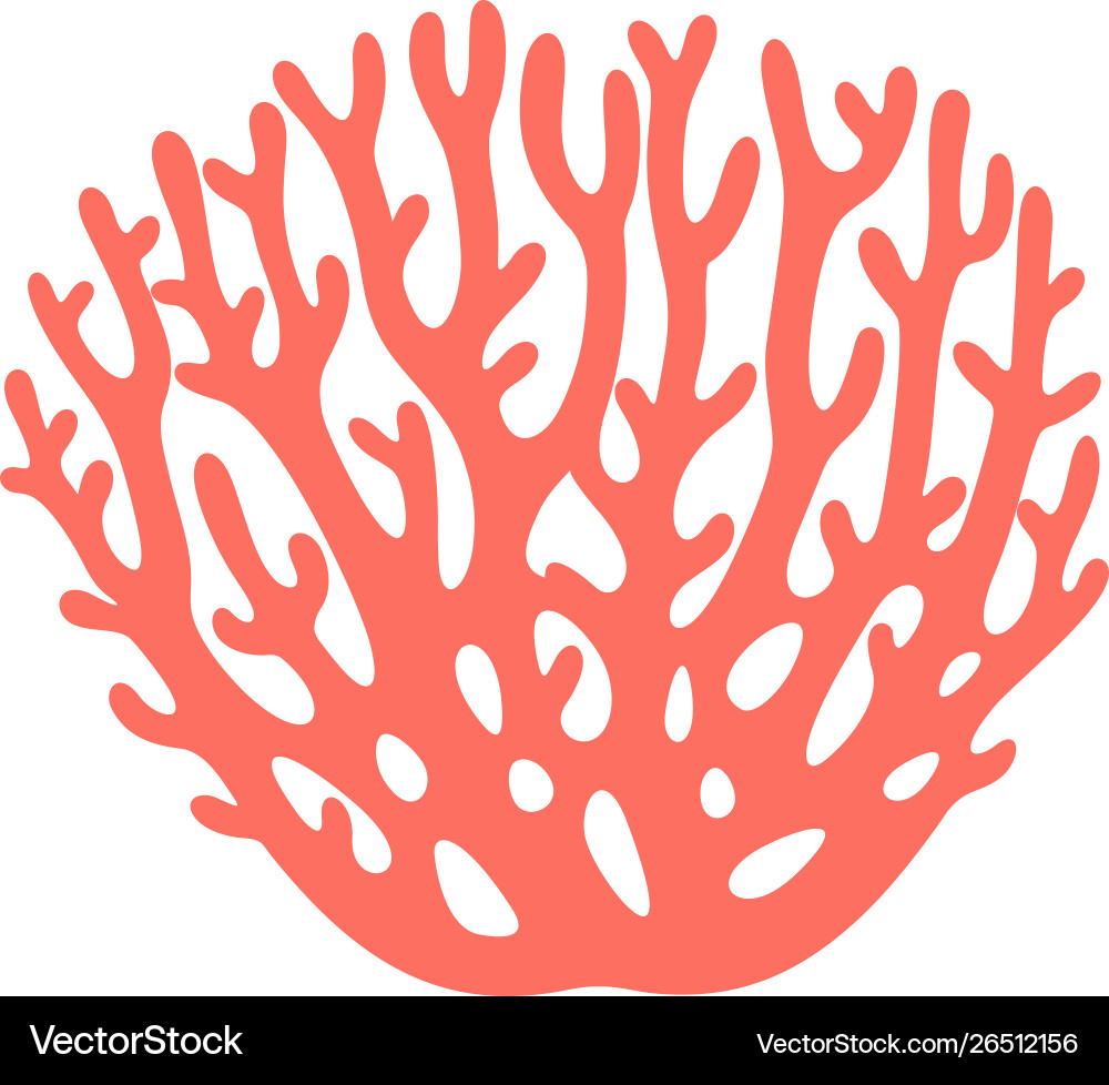 Coral Royalty Free Vector Image - VectorStock