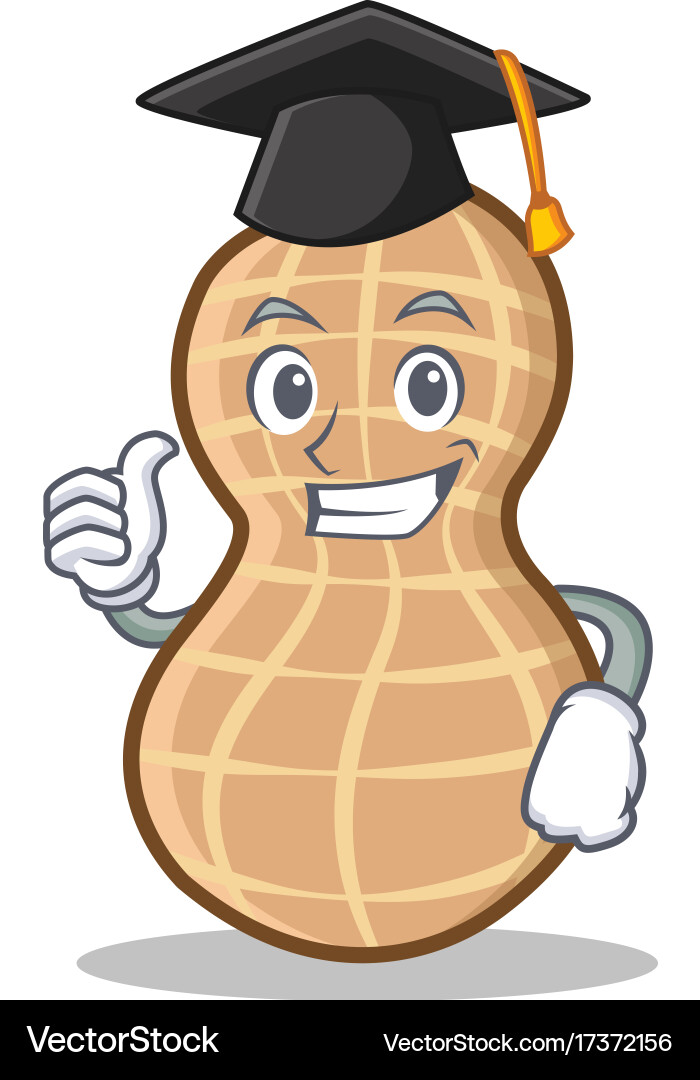 Graduation peanut character cartoon style Vector Image