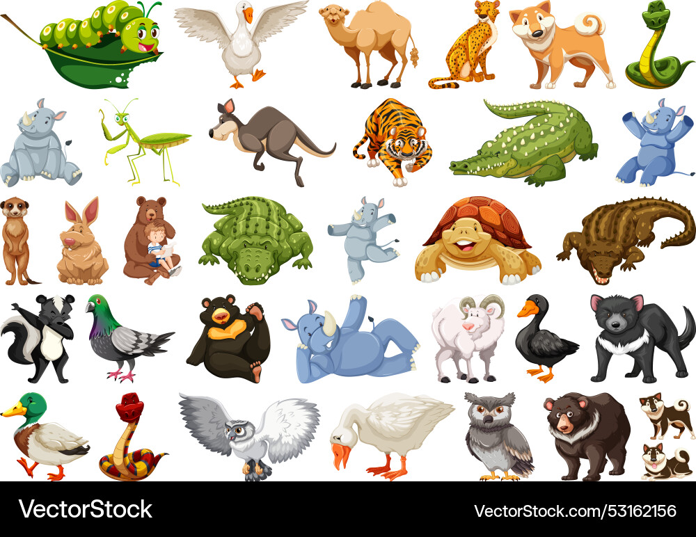 Set of wild animal Royalty Free Vector Image - VectorStock