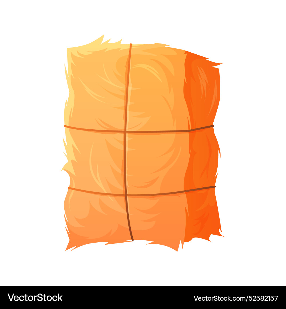 Hay harvest in rectangular bundle with ropes Vector Image