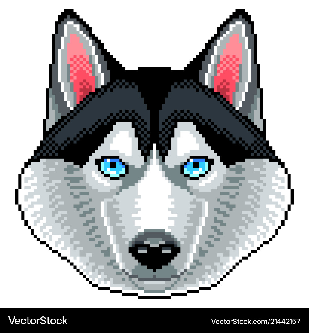 Pixel husky dog face isolated Royalty Free Vector Image