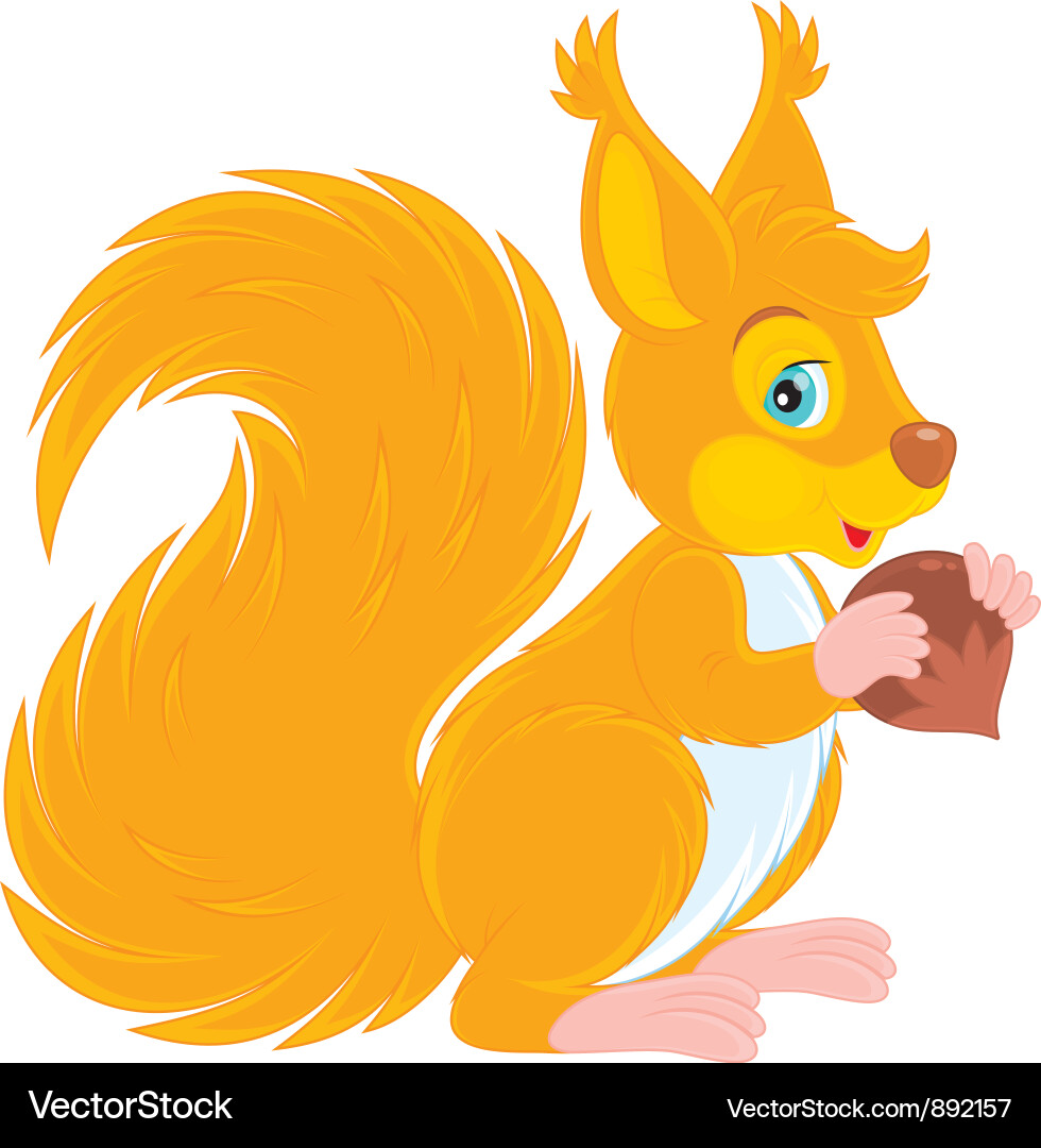 Squirrel Royalty Free Vector Image - VectorStock