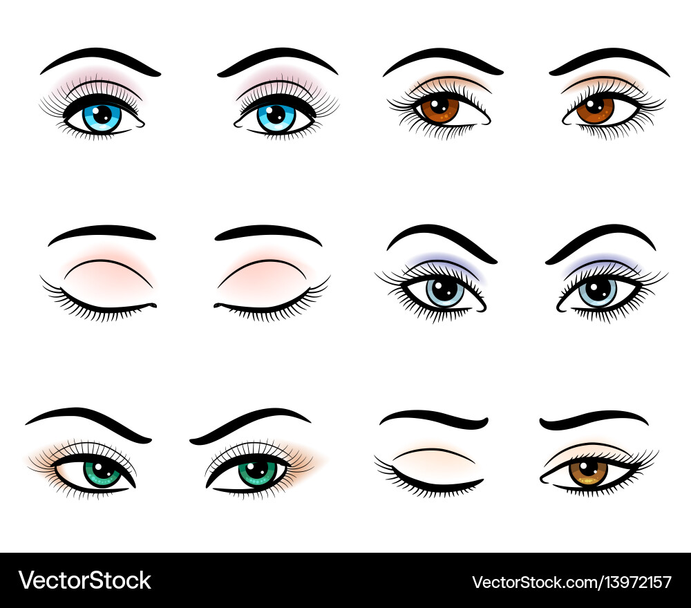 Woman's Eyes - Open & Closed Royalty Free Vector Image