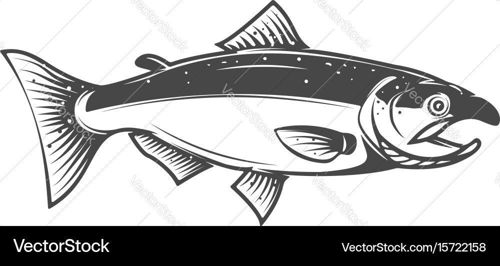 Salmon Icon - Seafood Vector Royalty Free Vector Image