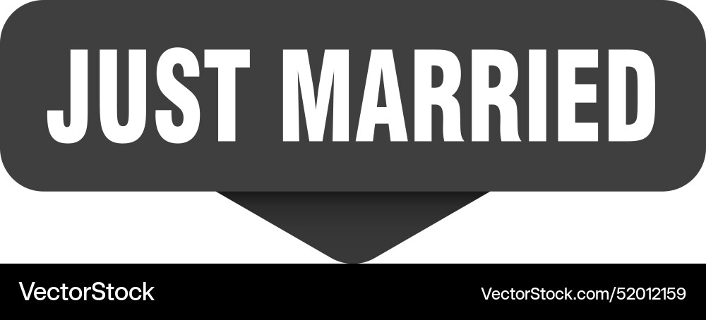 Just married sticker sign Royalty Free Vector Image