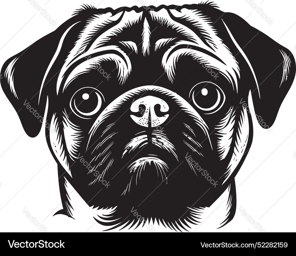 Lovable pug logo minimalist black quirky Vector Image
