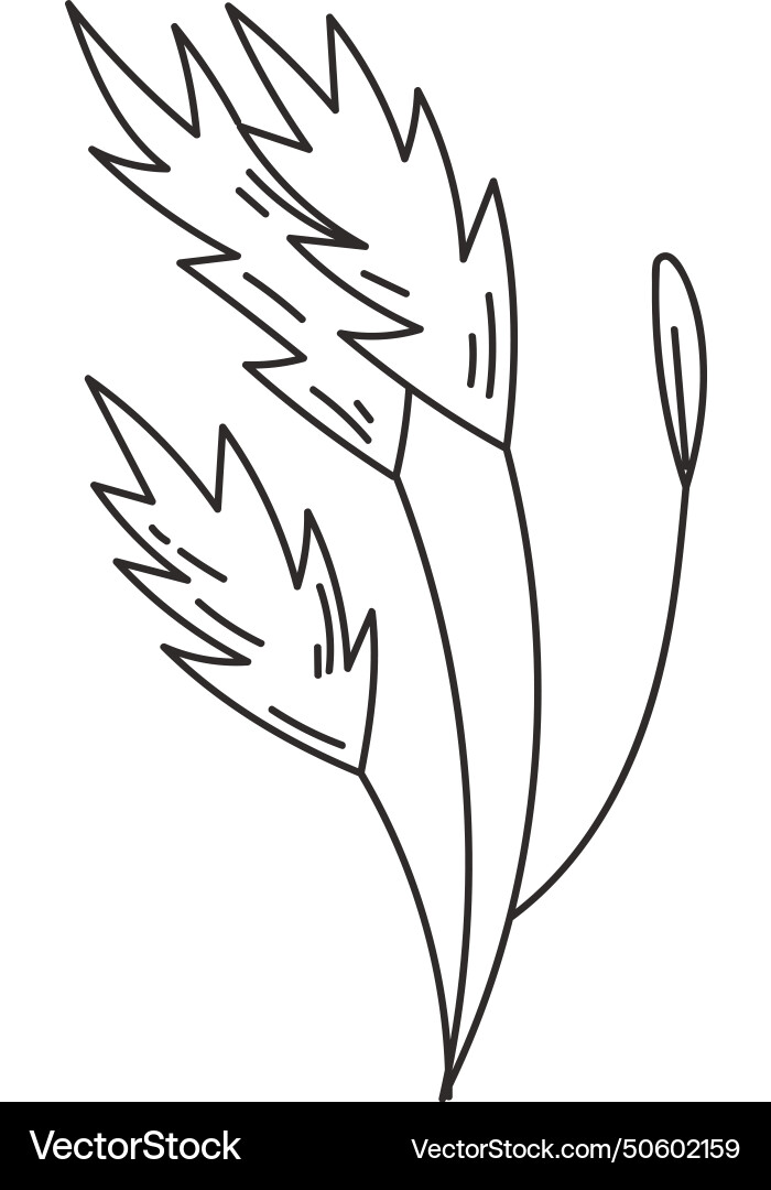 Mizuna micro greens sketch Royalty Free Vector Image