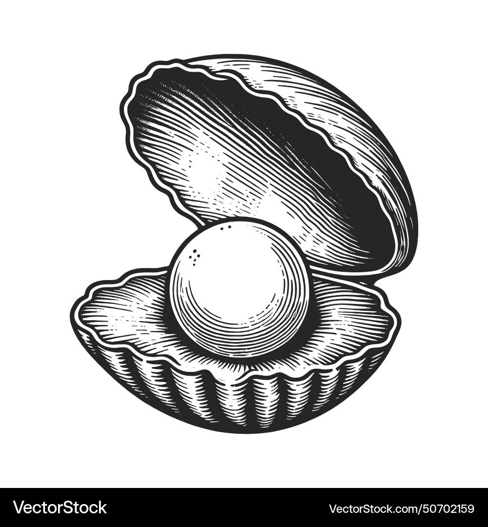Pearl in open oyster shell engraving Royalty Free Vector