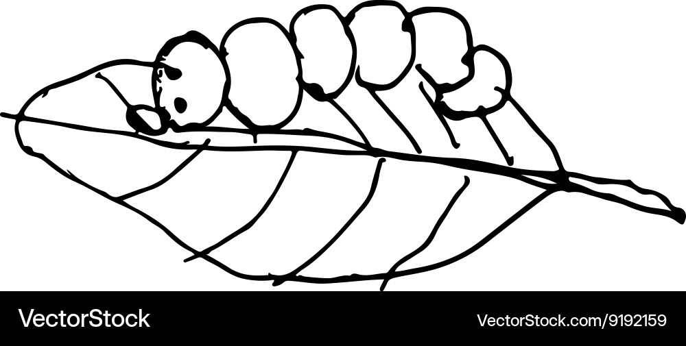 Worm Royalty Free Vector Image - VectorStock