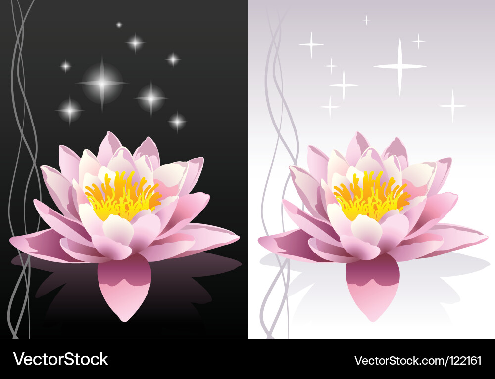 Lotus flower Royalty Free Vector Image - VectorStock