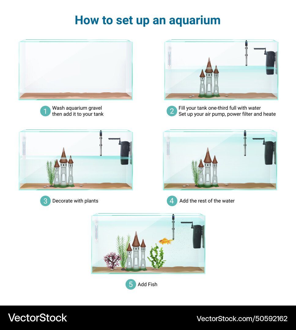 Aquarium setup realistic infographics Royalty Free Vector