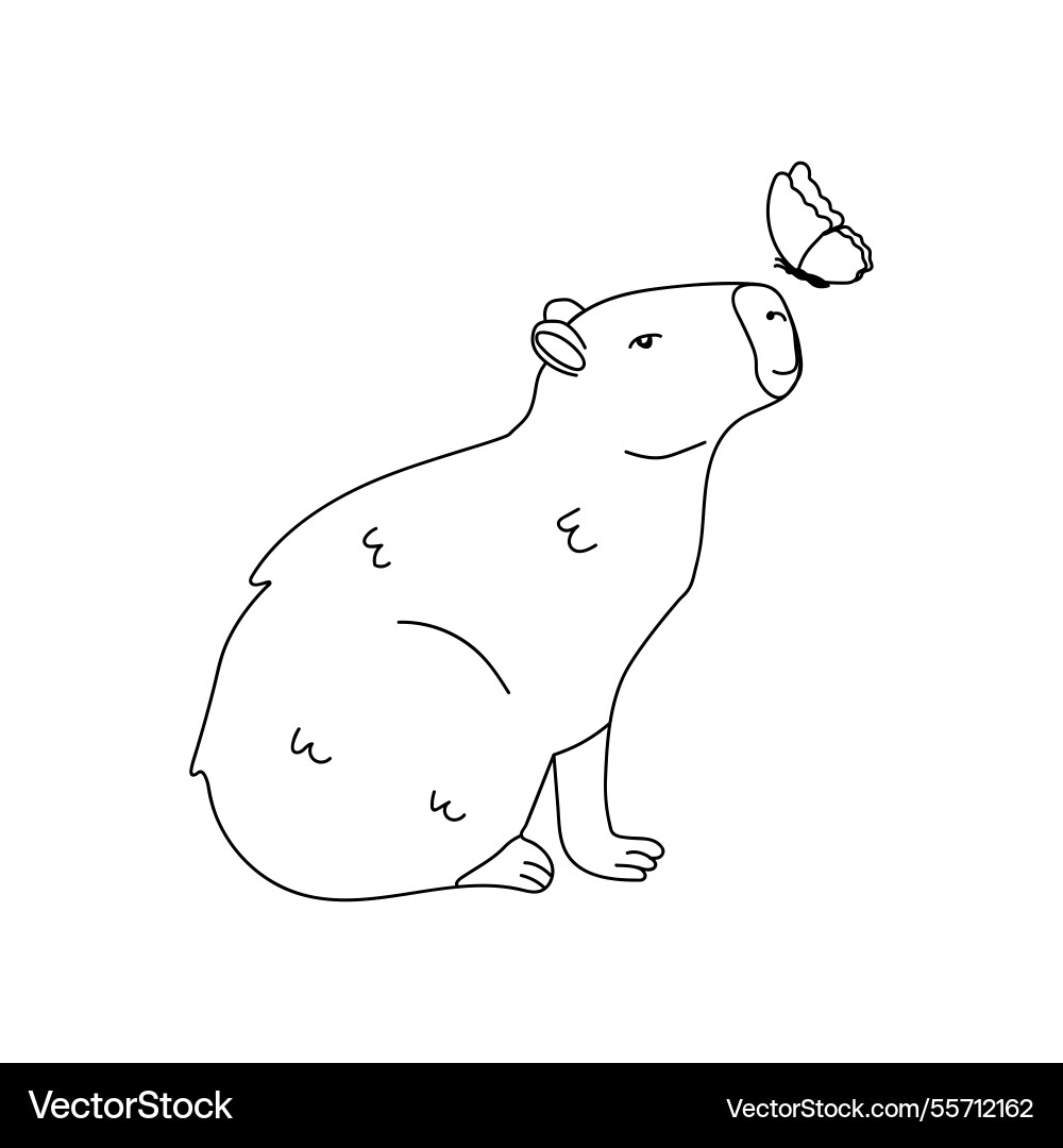 Capybara watching butterfly black Royalty Free Vector Image