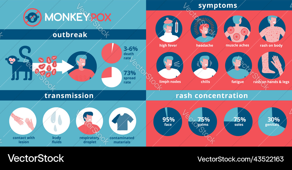 Monkeypox virus infographics of transmission Vector Image