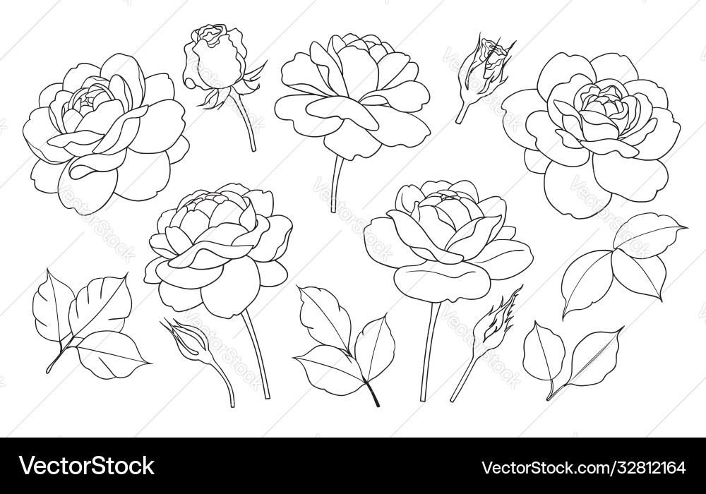 Laser Cut Rose Vector Images (over 290)