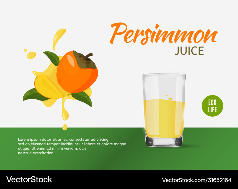 Fresh persimmon design template for ads bright Vector Image
