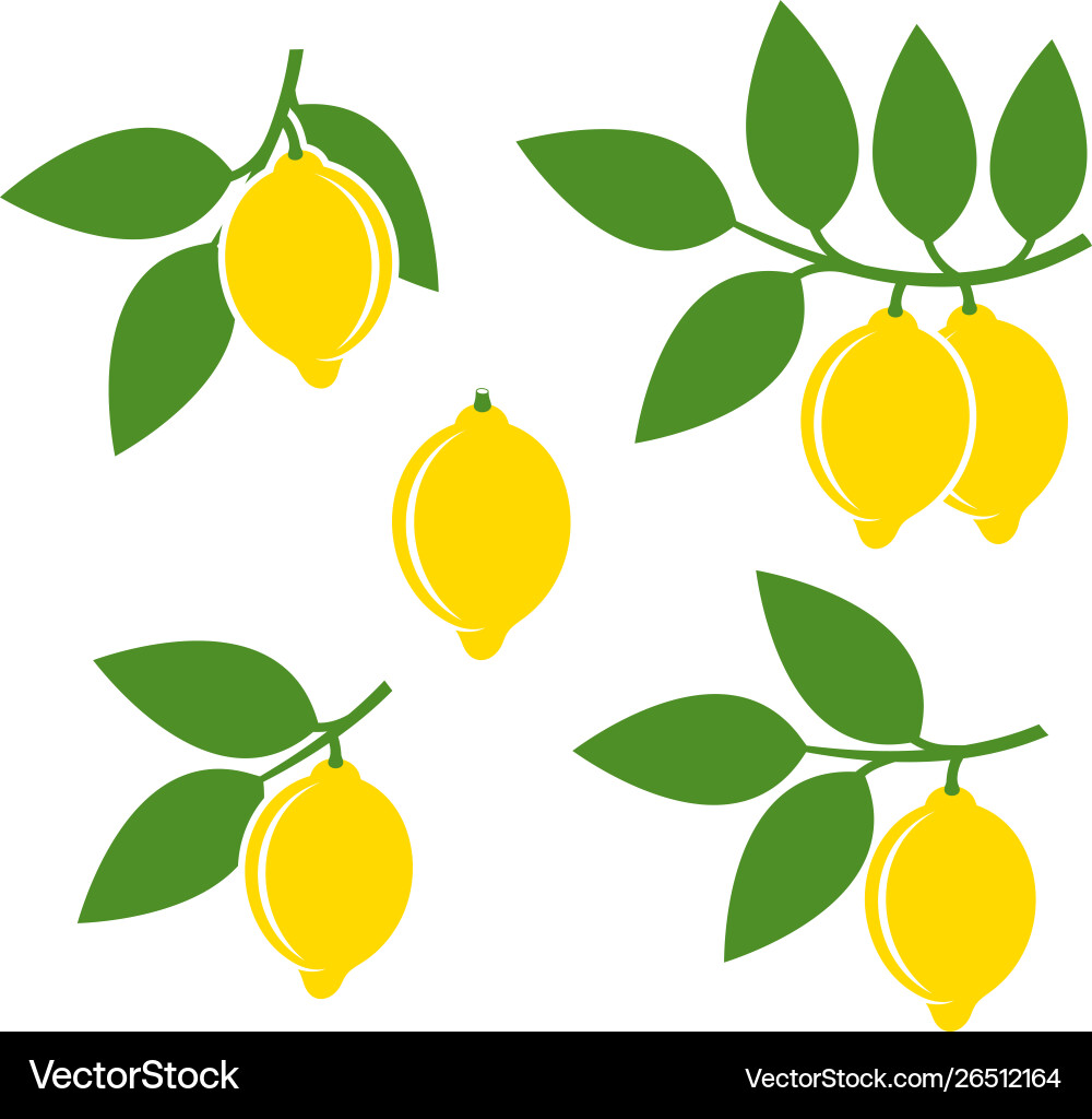 Lemon Royalty Free Vector Image - VectorStock