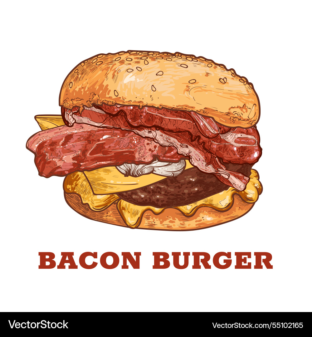 Colored bacon burger Royalty Free Vector Image
