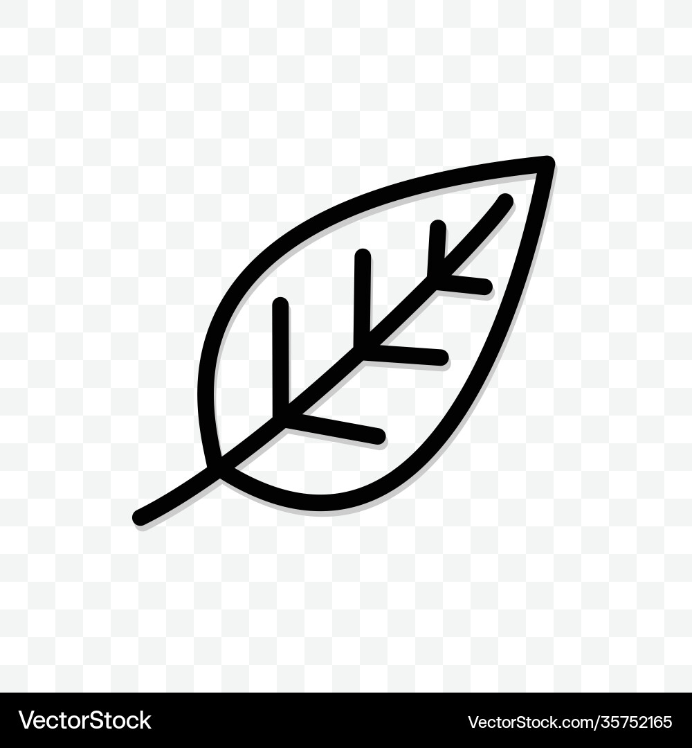 Leaf icon isolated on transparent background Vector Image