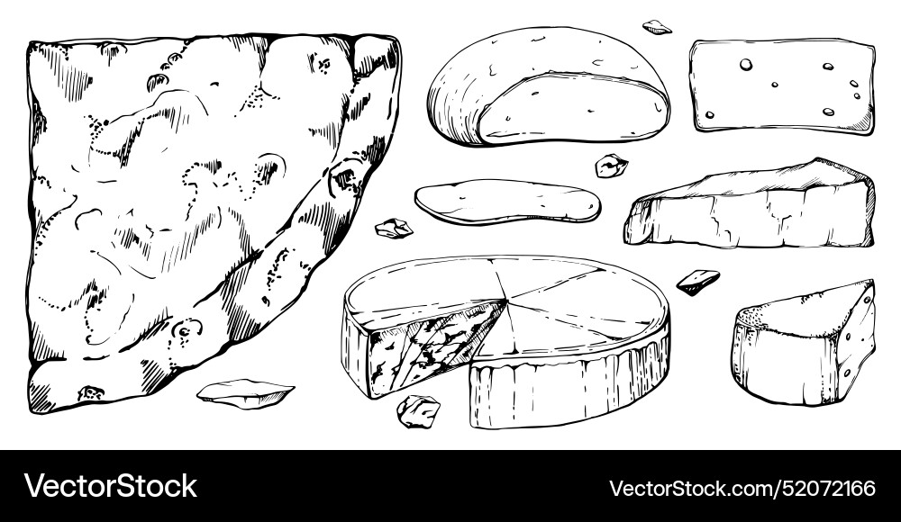 Hand drawn ink quattro formaggi four cheeses Vector Image