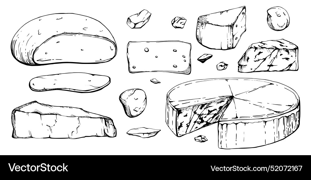 Hand drawn ink assortment of cheese mozzarella Vector Image