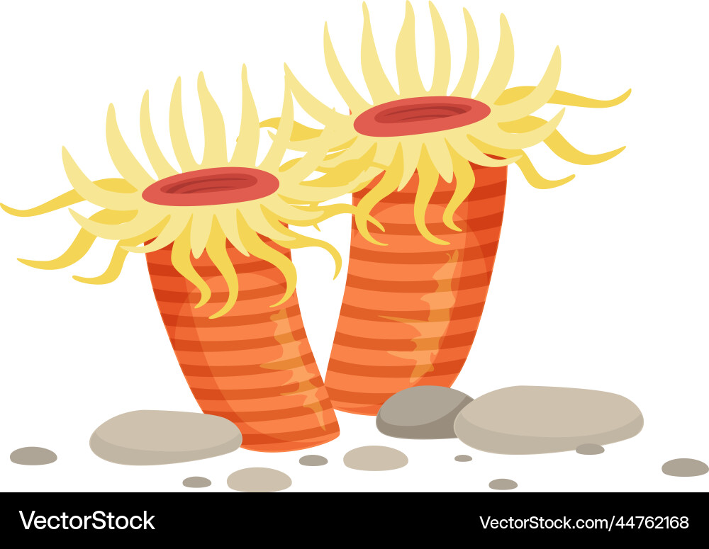 Sea anemone growing underwater cartoon marine Vector Image