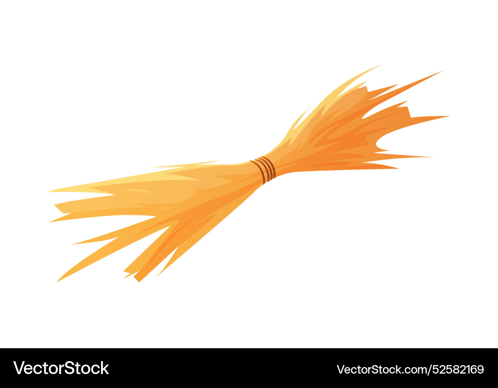Bunch of straw hay bundle and dry grass harvest Vector Image