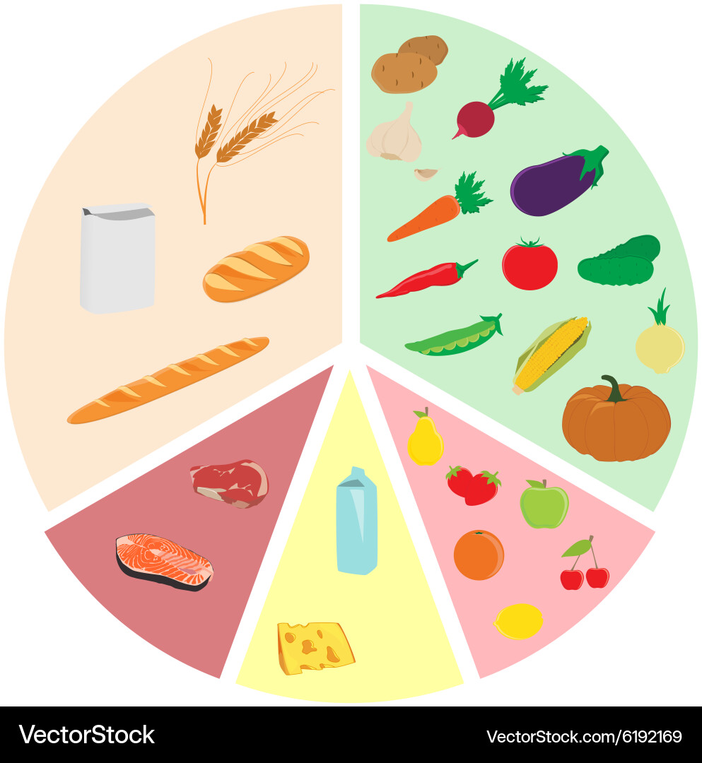 Healthy eating chart Royalty Free Vector Image