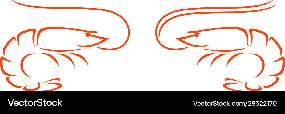 Shrimp Royalty Free Vector Image - VectorStock