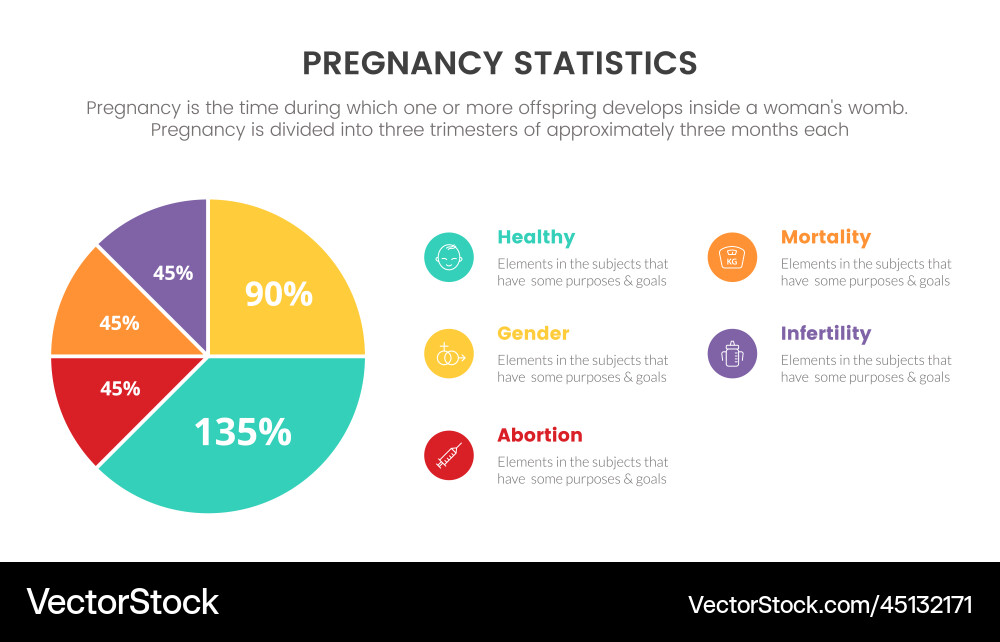 Circle graph statistics information pregnant Vector Image