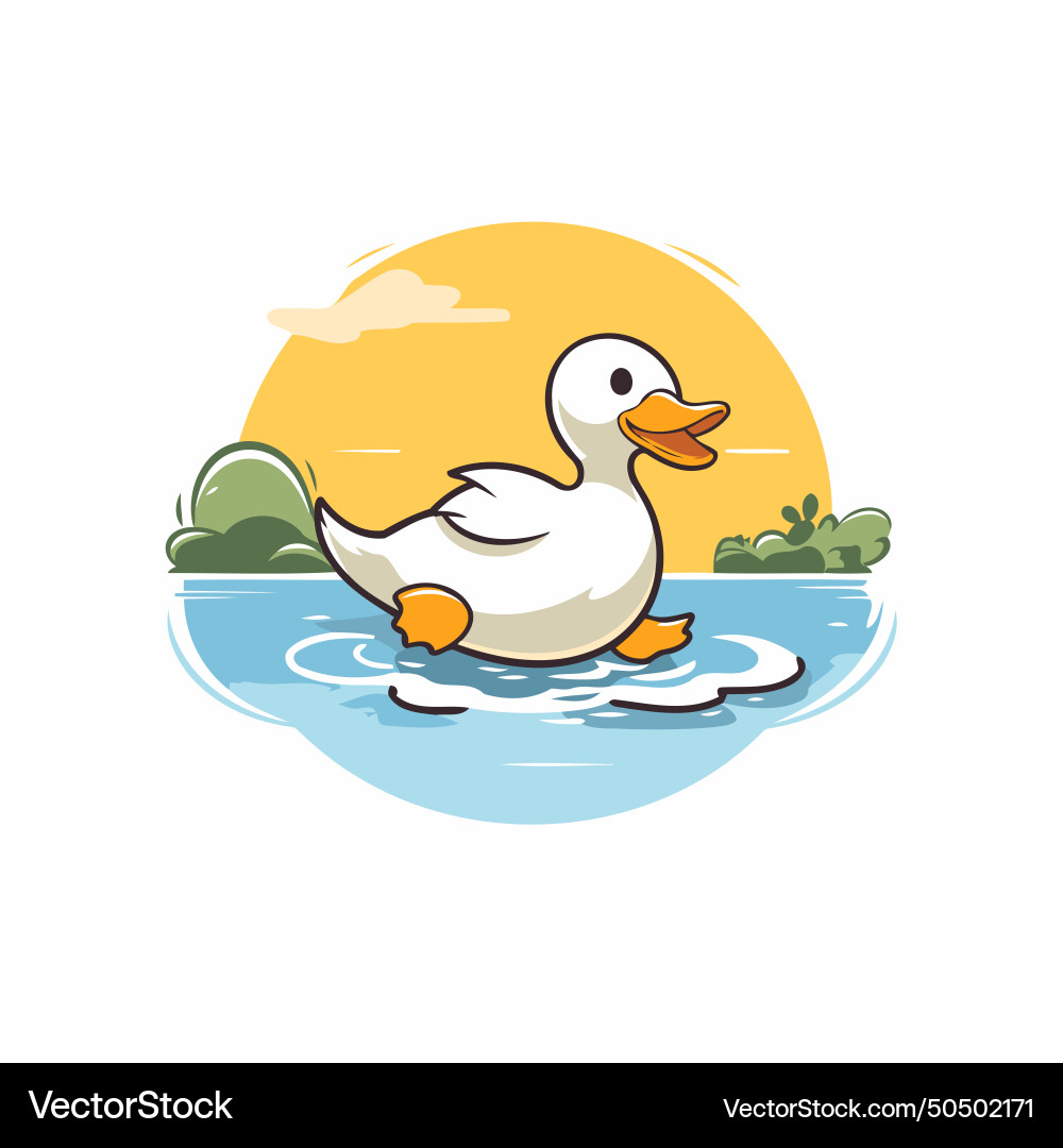 Duck swimming in the lake on white background Vector Image