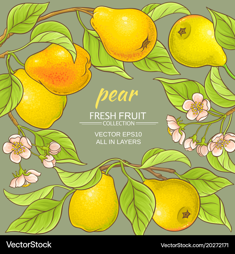 Pears frame Royalty Free Vector Image - VectorStock