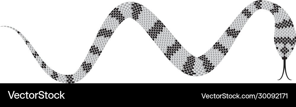 Snake symbol Royalty Free Vector Image - VectorStock