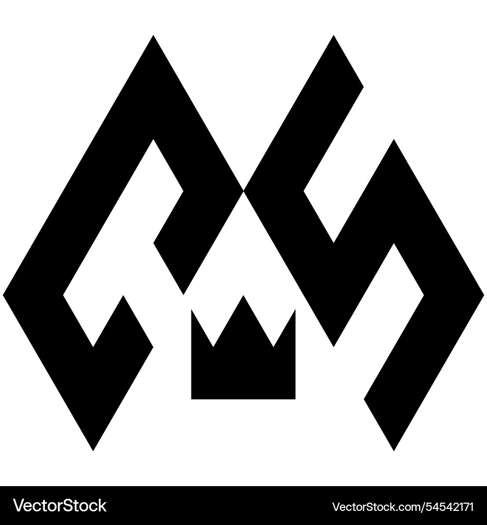 Stylish cs initial letter logo with clean Vector Image