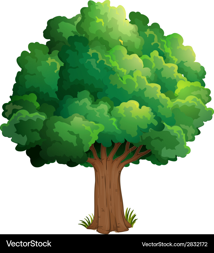 A tree at the forest Royalty Free Vector Image
