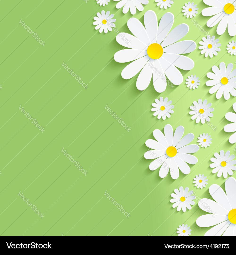 Chamomile Spring Green Floral Background Vector Image