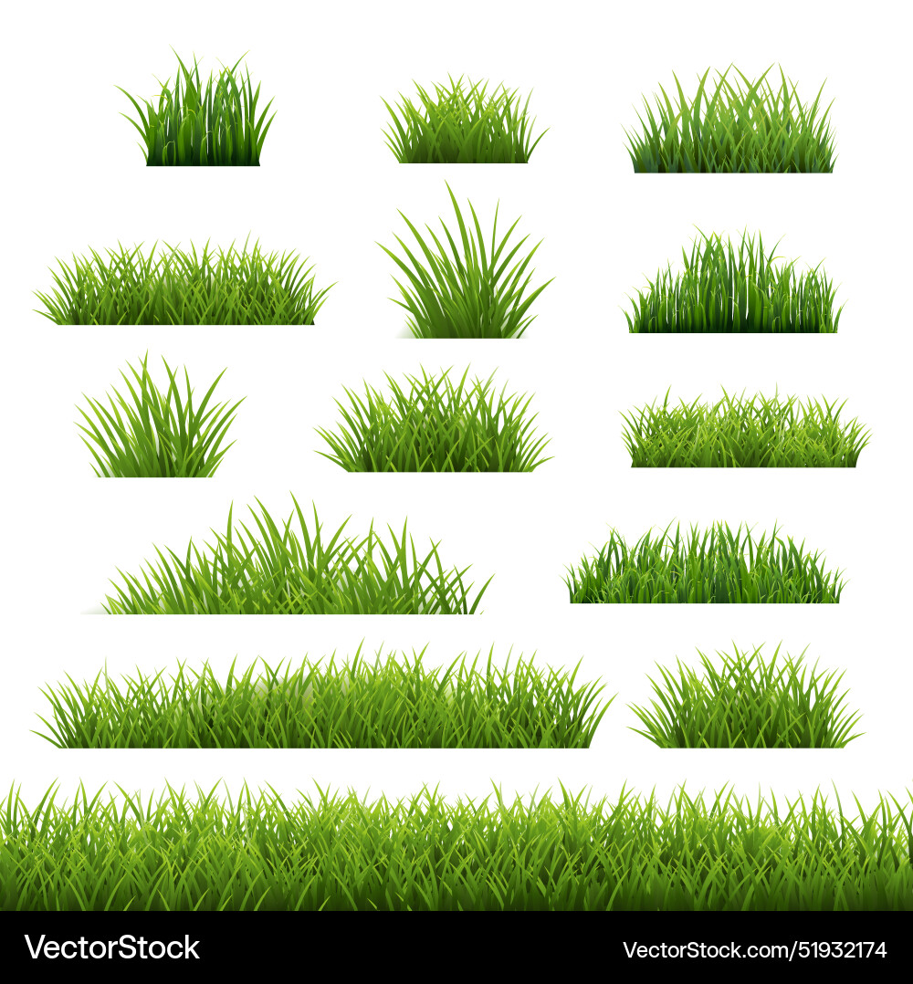 Big set green grass isolated white background Vector Image