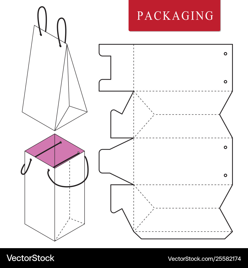 Boxpackage template isolated Royalty Free Vector Image