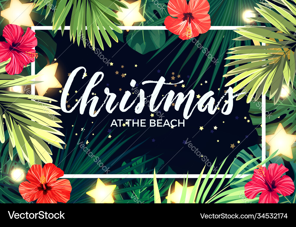 Tropical christmas on beach design Royalty Free Vector Image