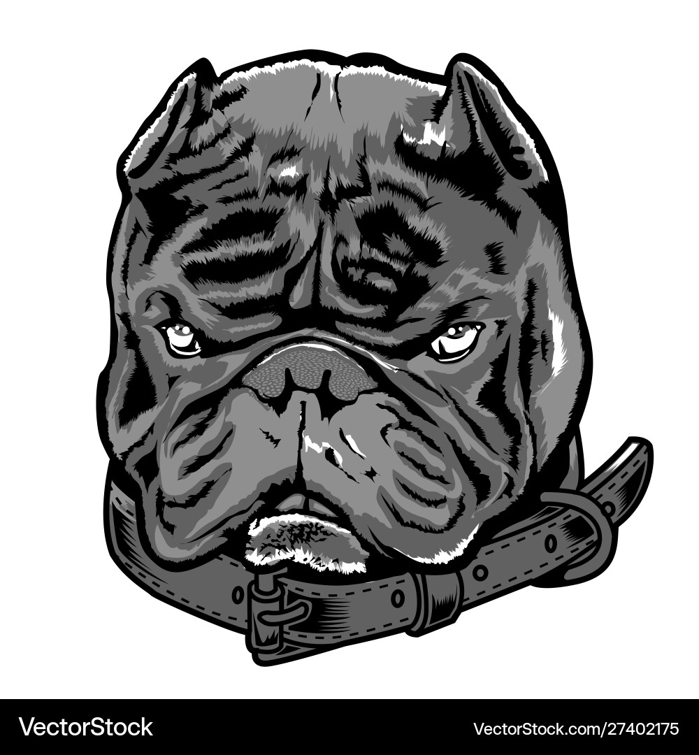 Bully dog exotic Royalty Free Vector Image - VectorStock