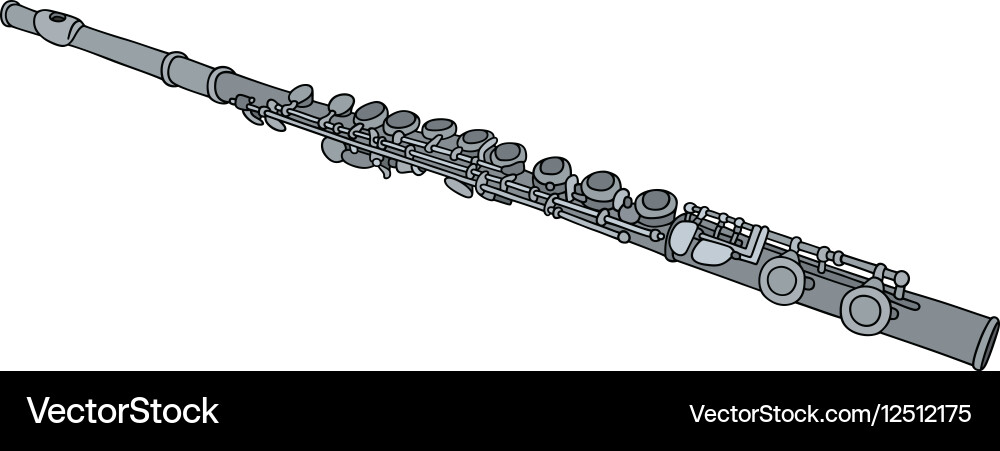 Classic metal flute Royalty Free Vector Image - VectorStock