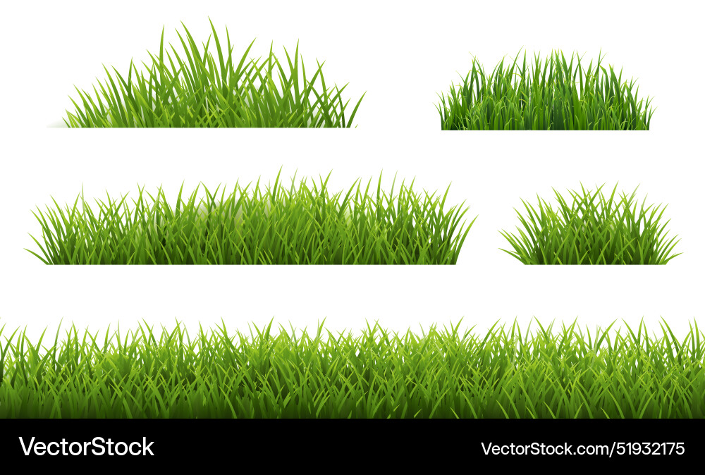 Green grass borders set isolated white background Vector Image