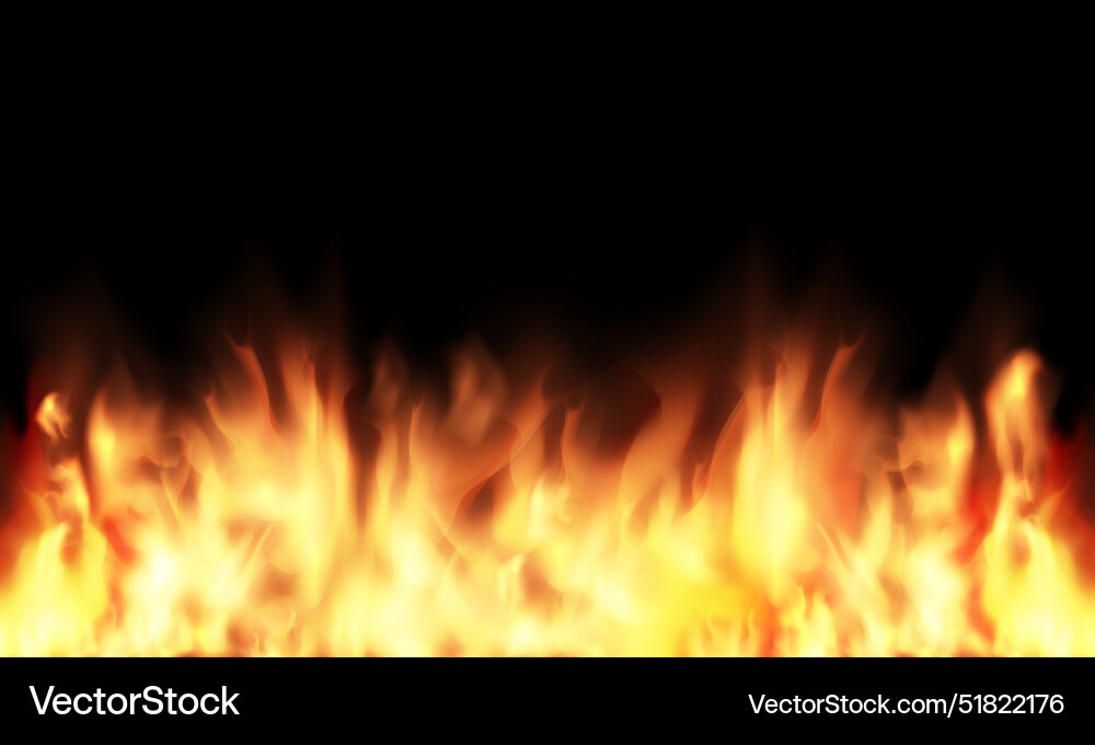 Translucent fire flames sparks horizontal Vector Image
