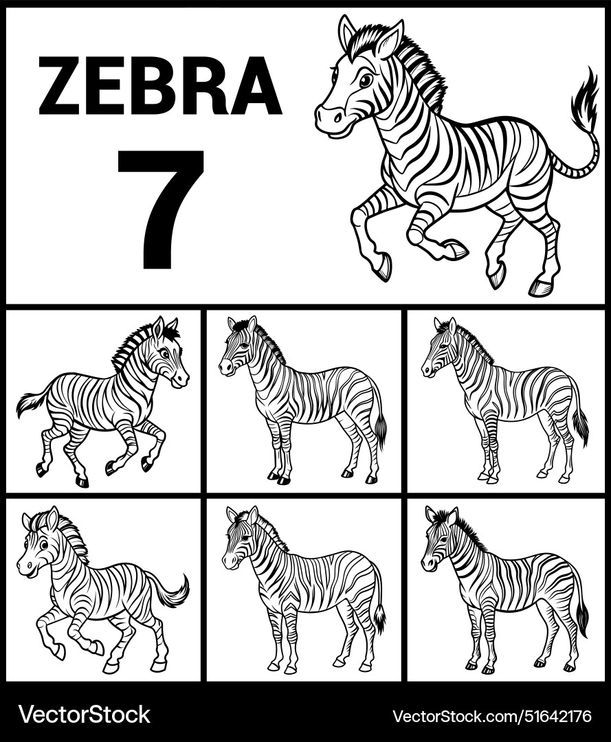 Zebra outline set detailed Royalty Free Vector Image