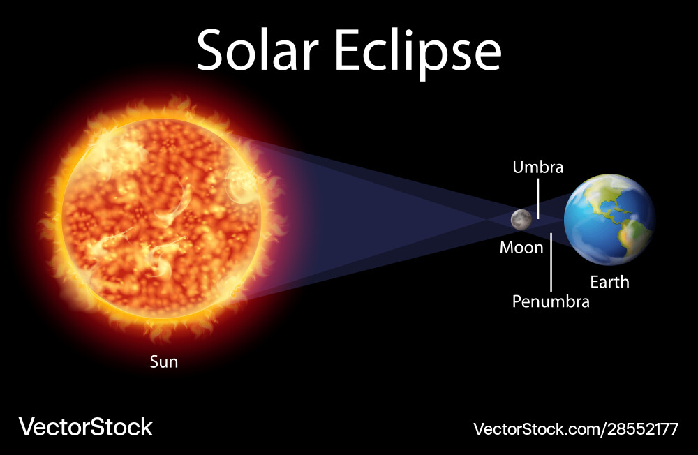Diagram showing solar eclipse on earth Royalty Free Vector