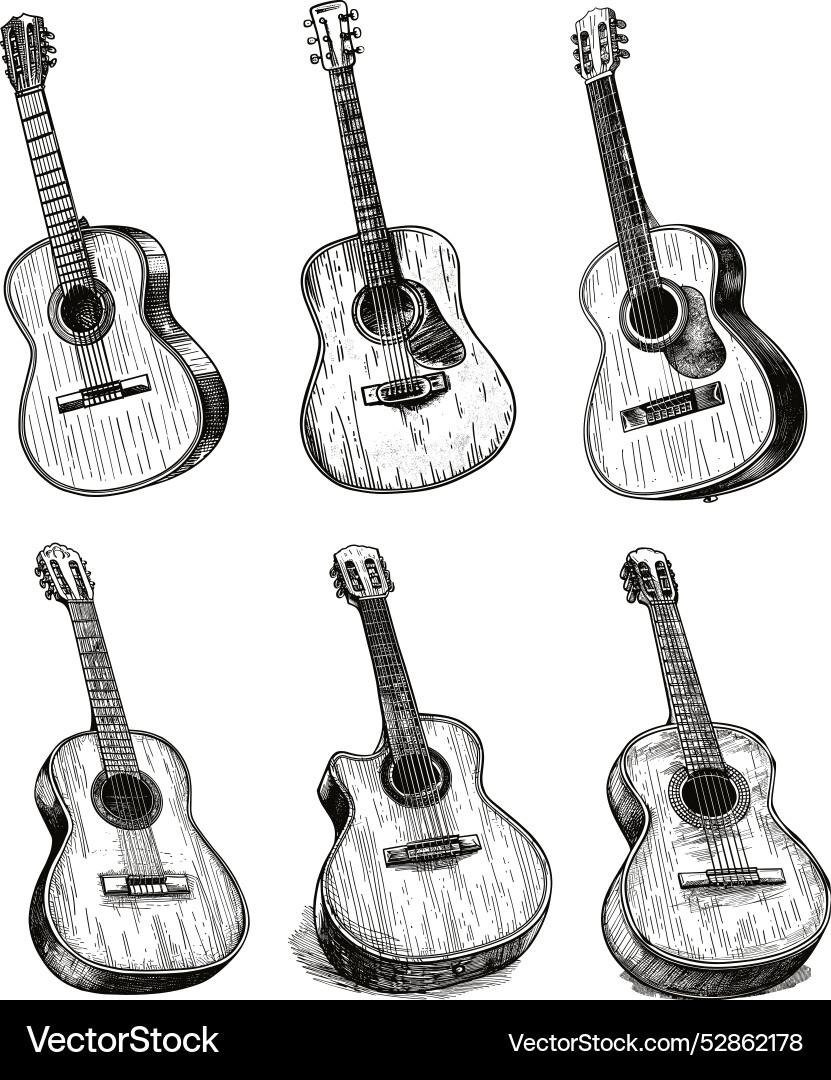 Classical guitars set music string acoustic Vector Image