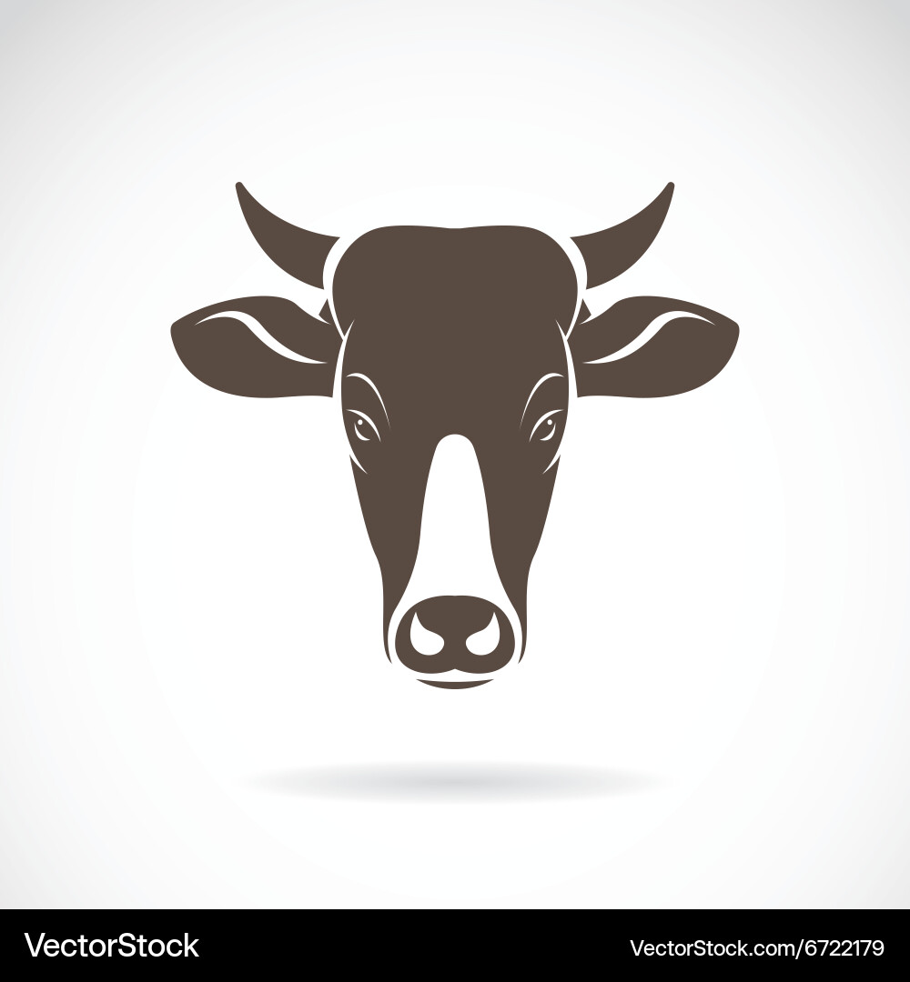 Image of an cow head Royalty Free Vector Image