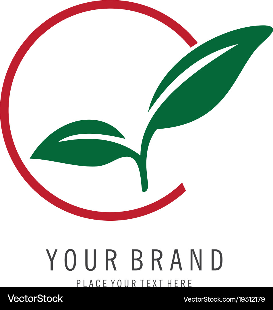 Seed logo Royalty Free Vector Image - VectorStock