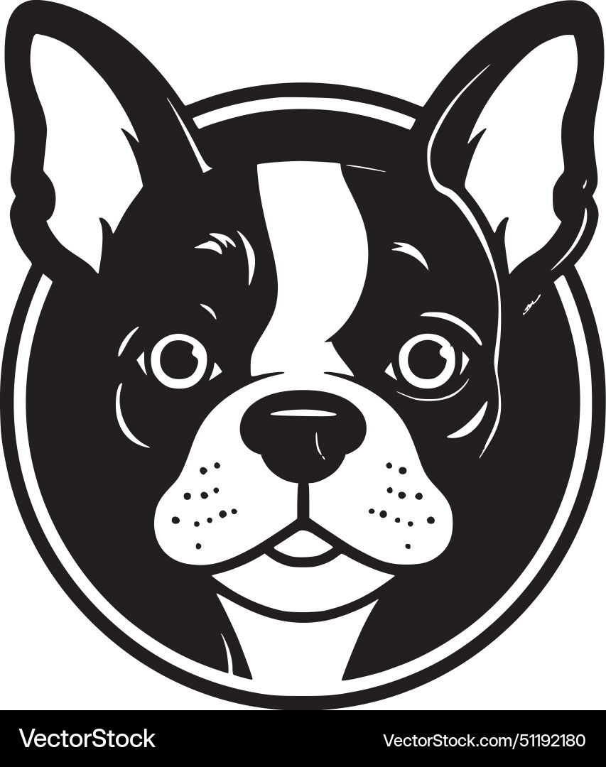 Boston terrier - minimalist and flat logo Vector Image
