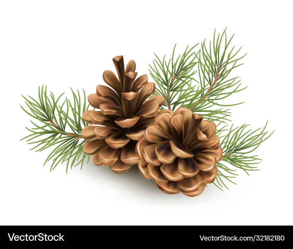 Pine Sprigs Vector Images (over 1,100)