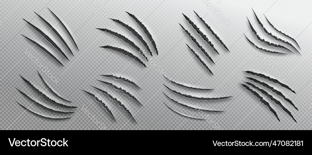 Animal Claw Marks - Scratches & Tears Vector Image